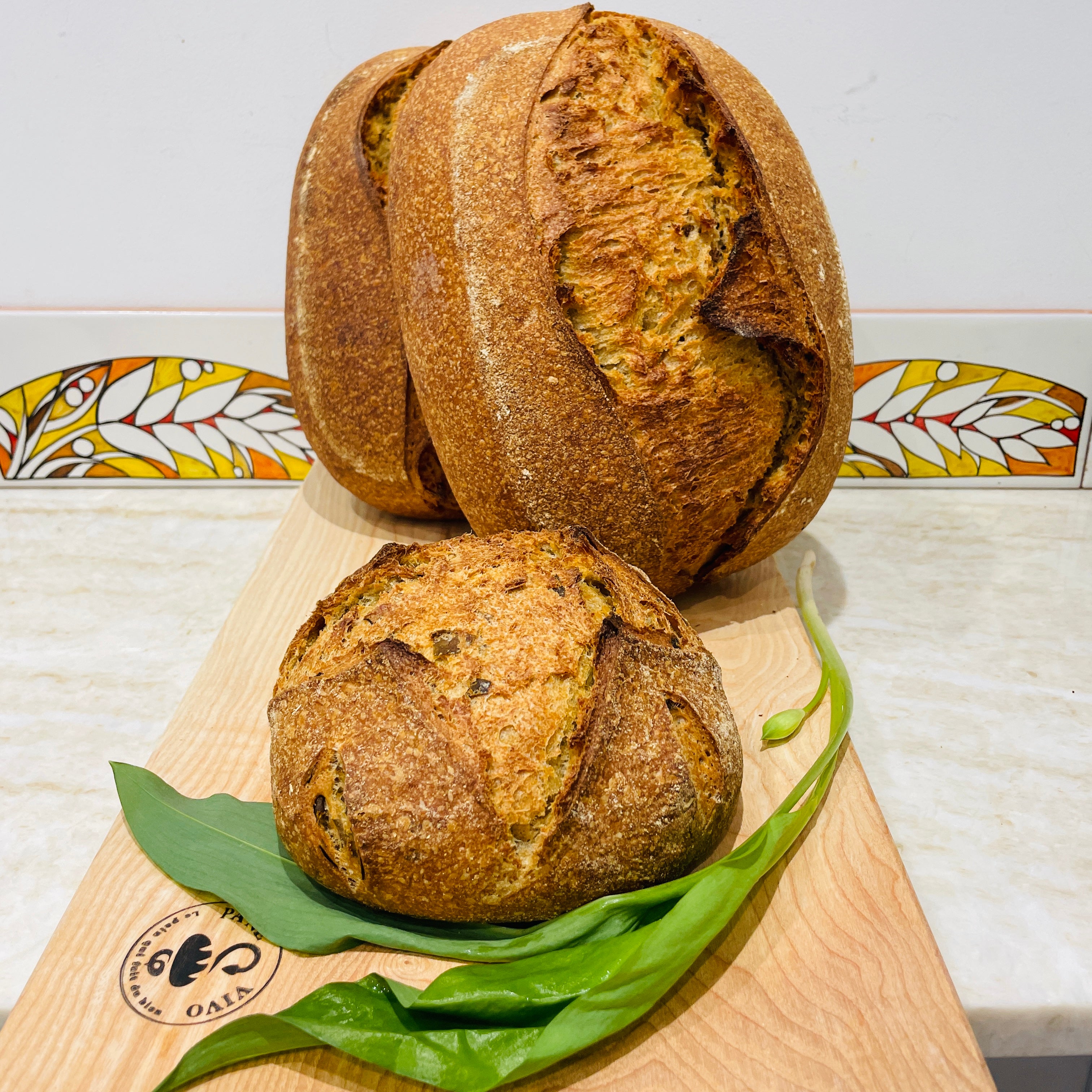 Les "Packs" pour découvrir Pane Vivo
